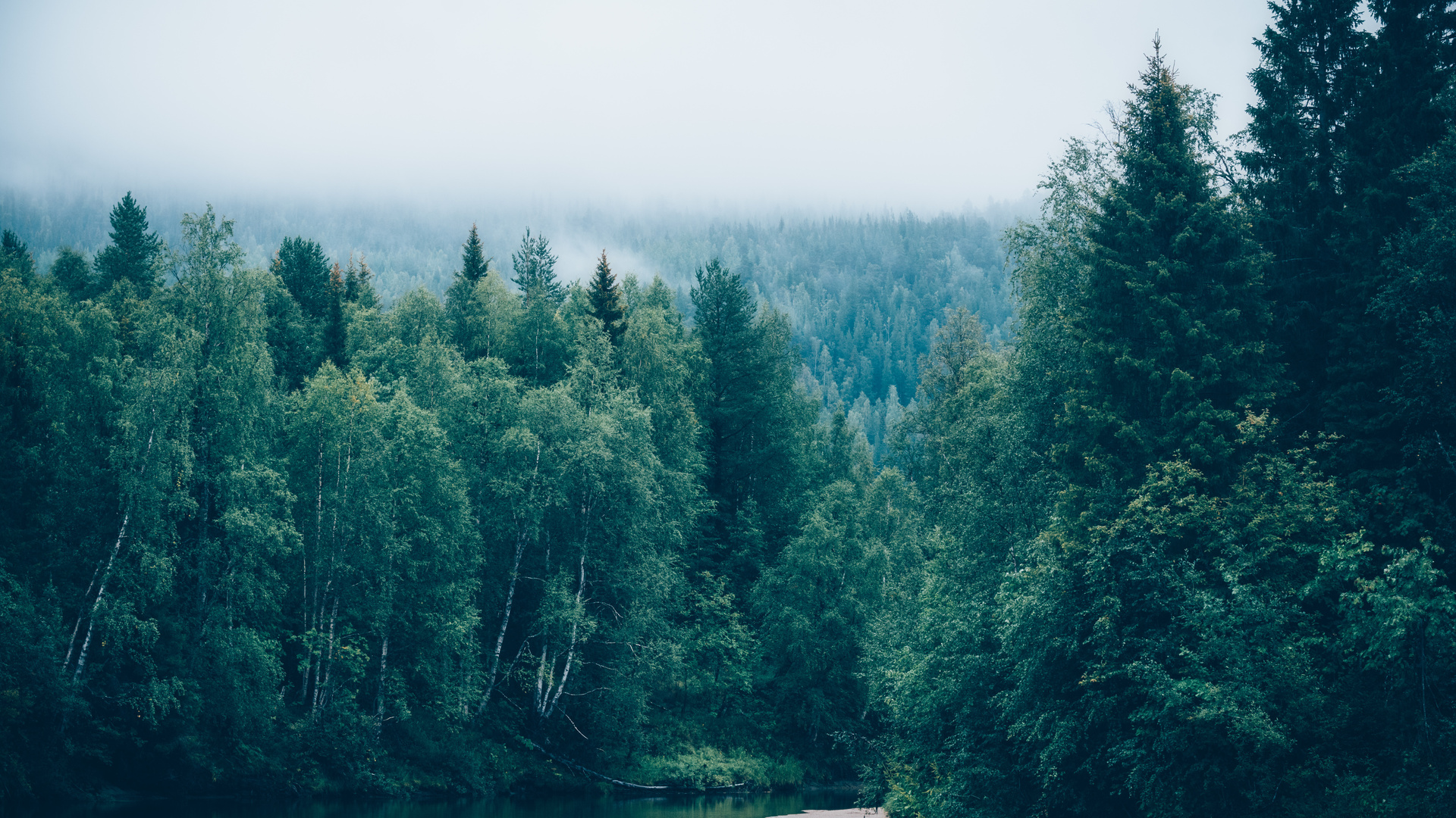 Wood Look Metal Ceilings